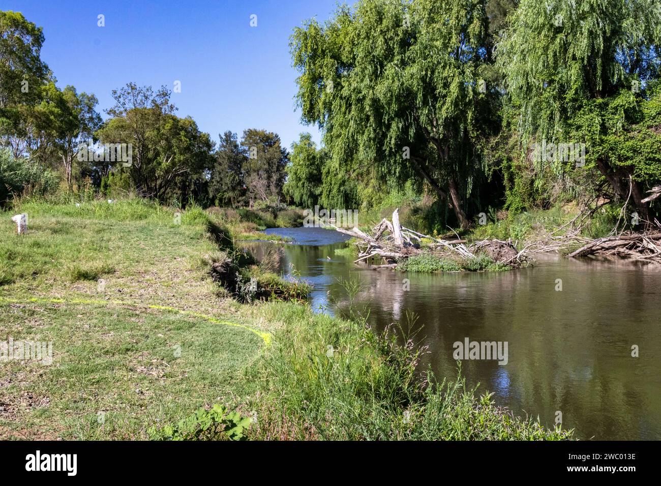 Hunter River at Muswellbrook Stock Photo - Alamy