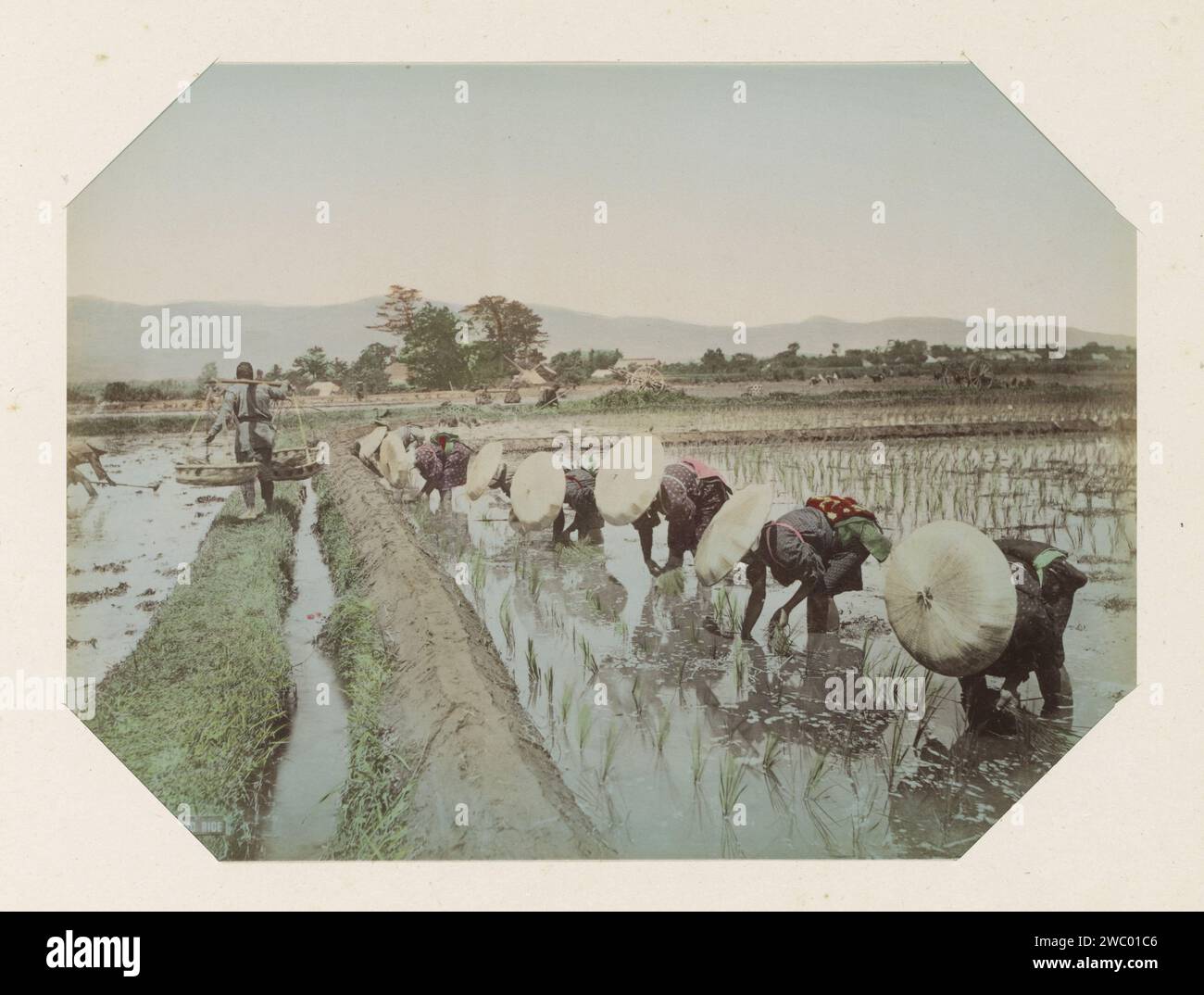 Rice -planting farmers in Japan, Anonymous, c. 1870 - c. 1900 ...