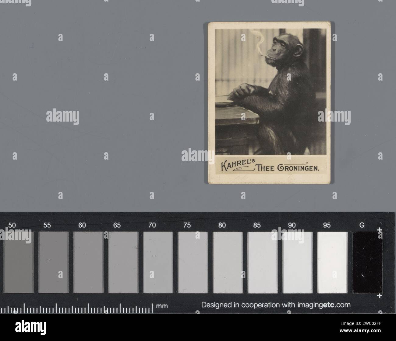 Smoking Chimpanzee, Advertising for Kahrel's tea Groningen, Anonymous ...