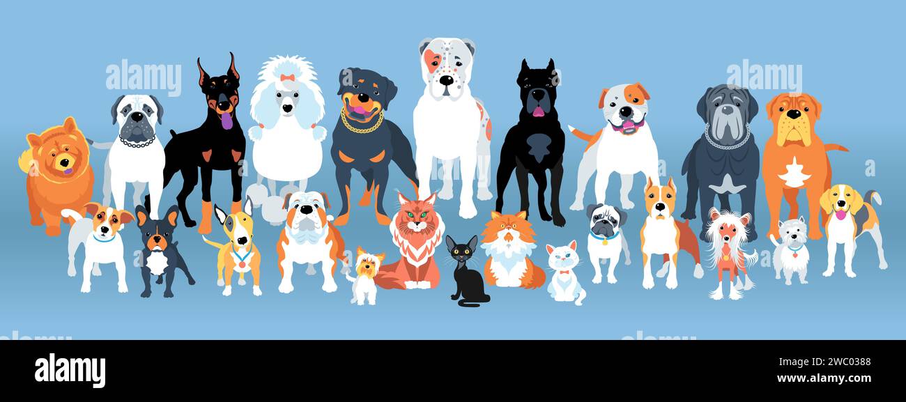 Dog breeds flat design Stock Vector Images - Alamy