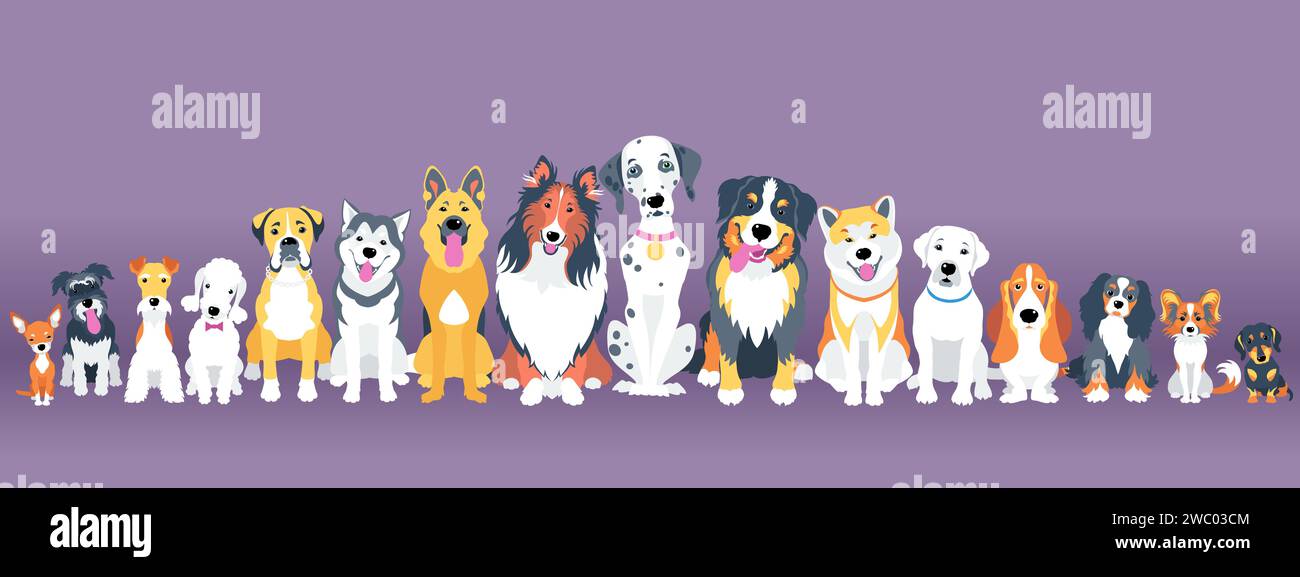Vector dogs of different breeds border set, flat design Stock Vector ...