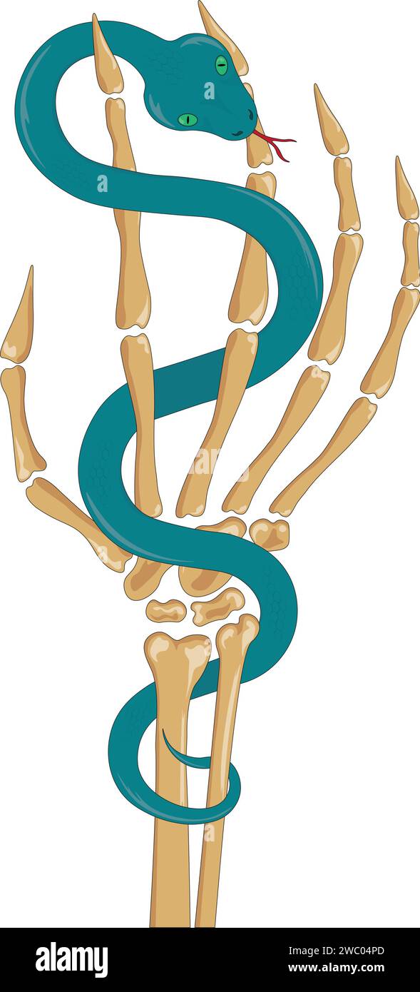 Human snake Stock Vector Images - Alamy