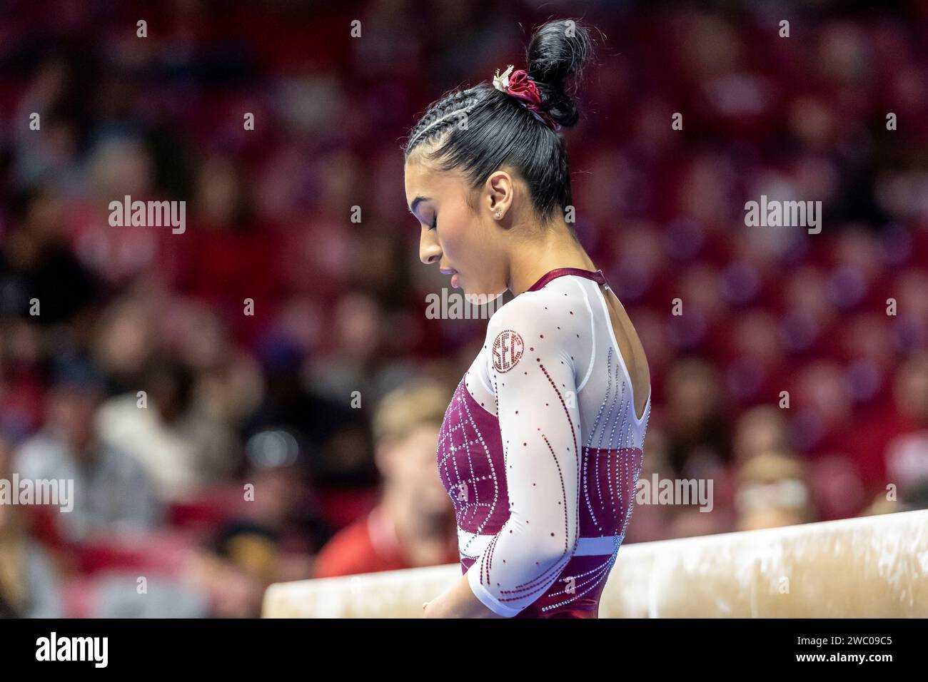 Alabama gymnast Luisa Blanco pauses before her 9.925 on the beam during ...