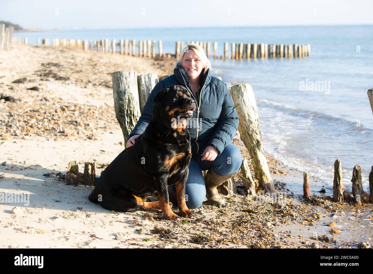 Dog sat down hi-res stock photography and images - Alamy
