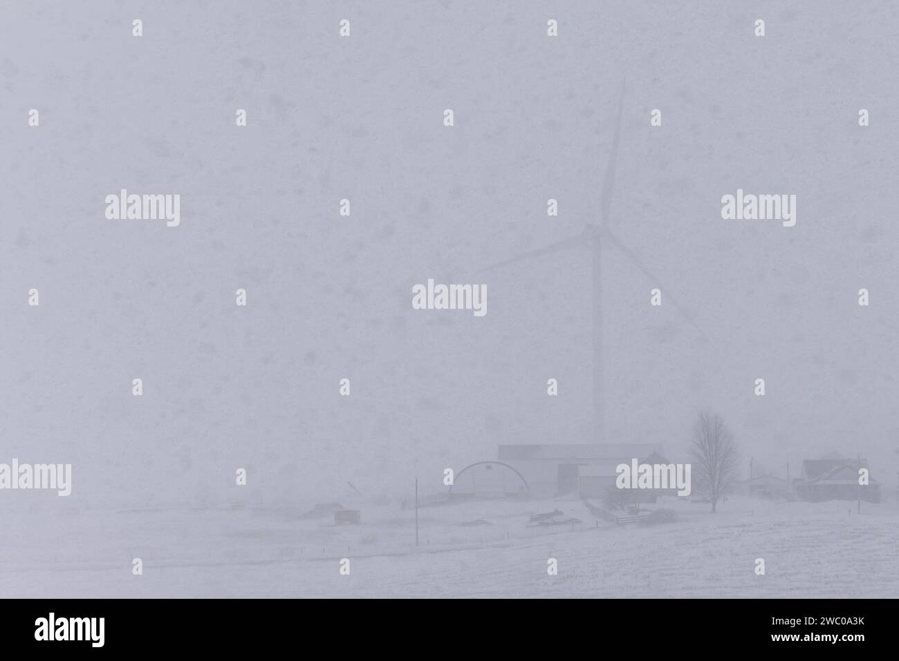 A blizzard moves through Iowa on January 12, 2024. Photo by Julia ...