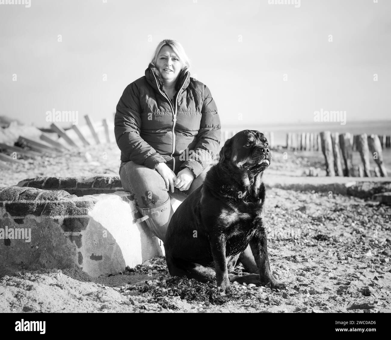 Dogs picture Black and White Stock Photos & Images - Alamy