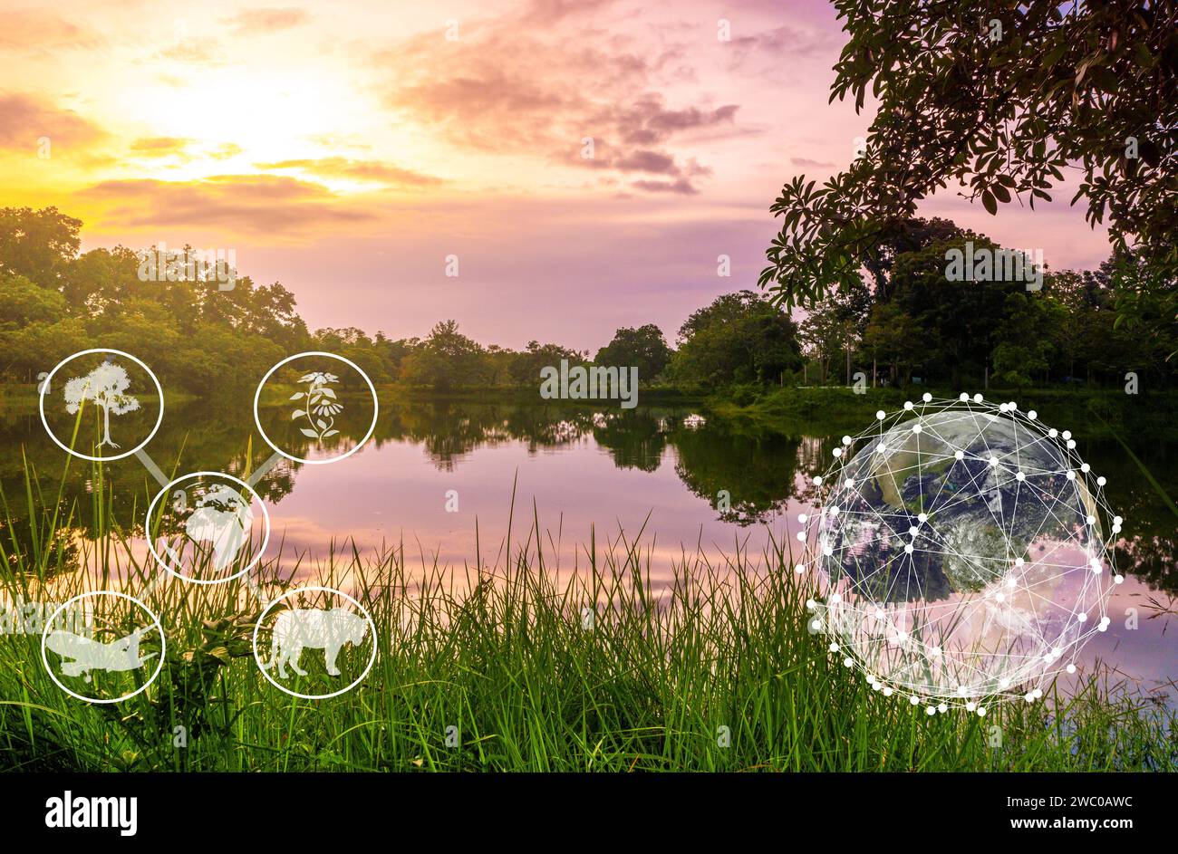 Ecosystem and preserve nature and sustainable concept, Botanical ...