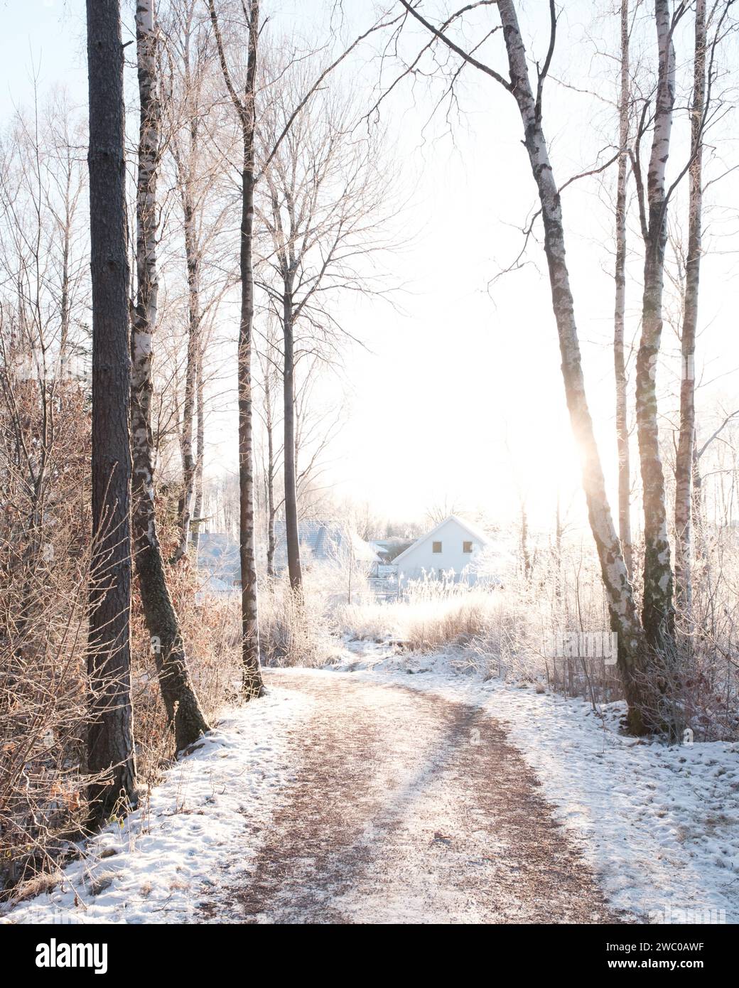 Home in the middle of no where with sun peeping through frozen lake and ...