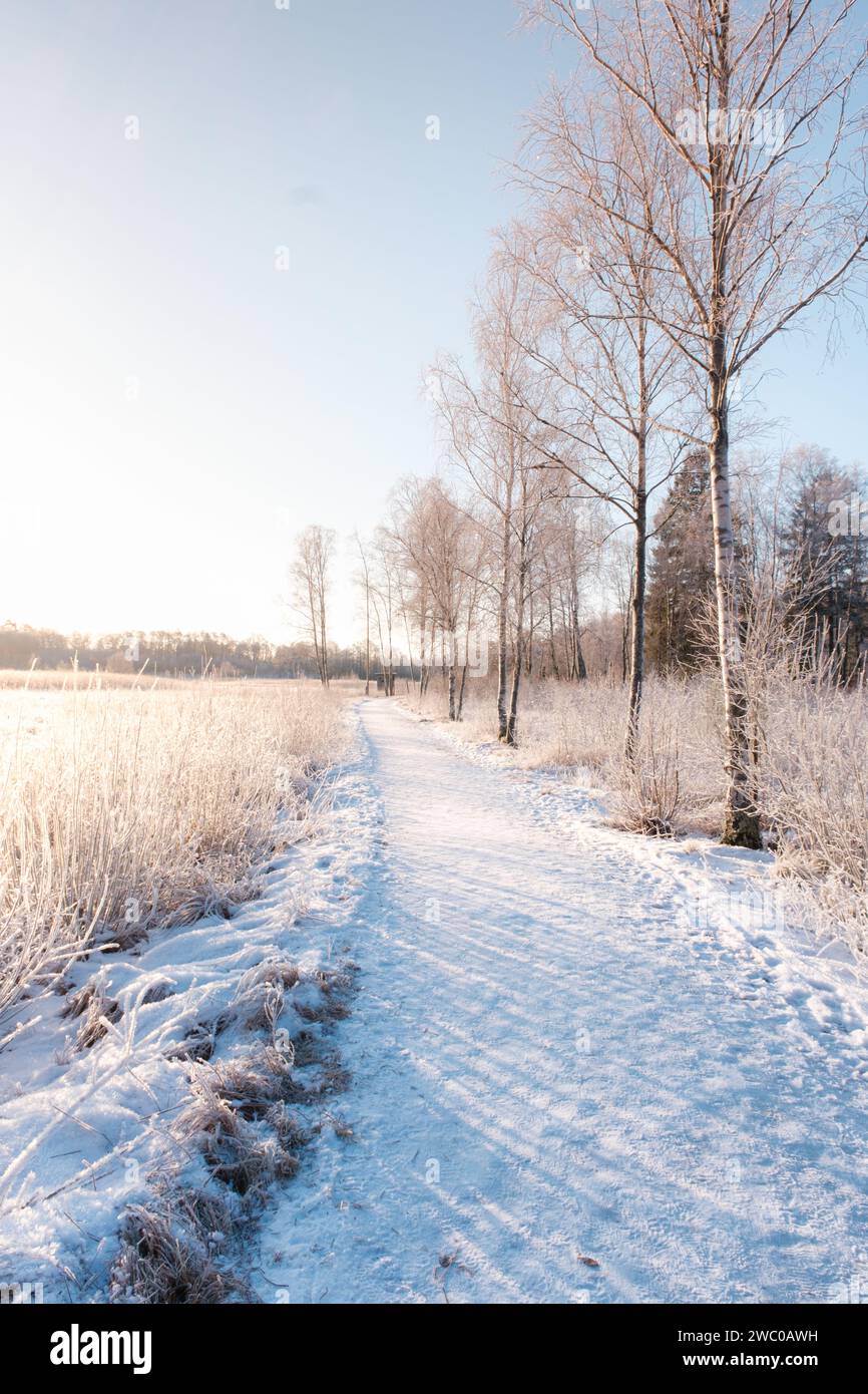 Morning walk through frozen lake during one of the coldest winter in ...