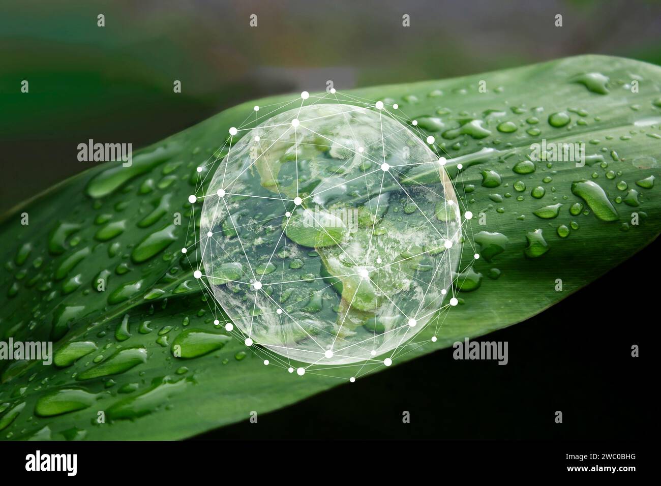 Ecosystem and preserve nature and sustainable concept, CREDIT BY NASA ...