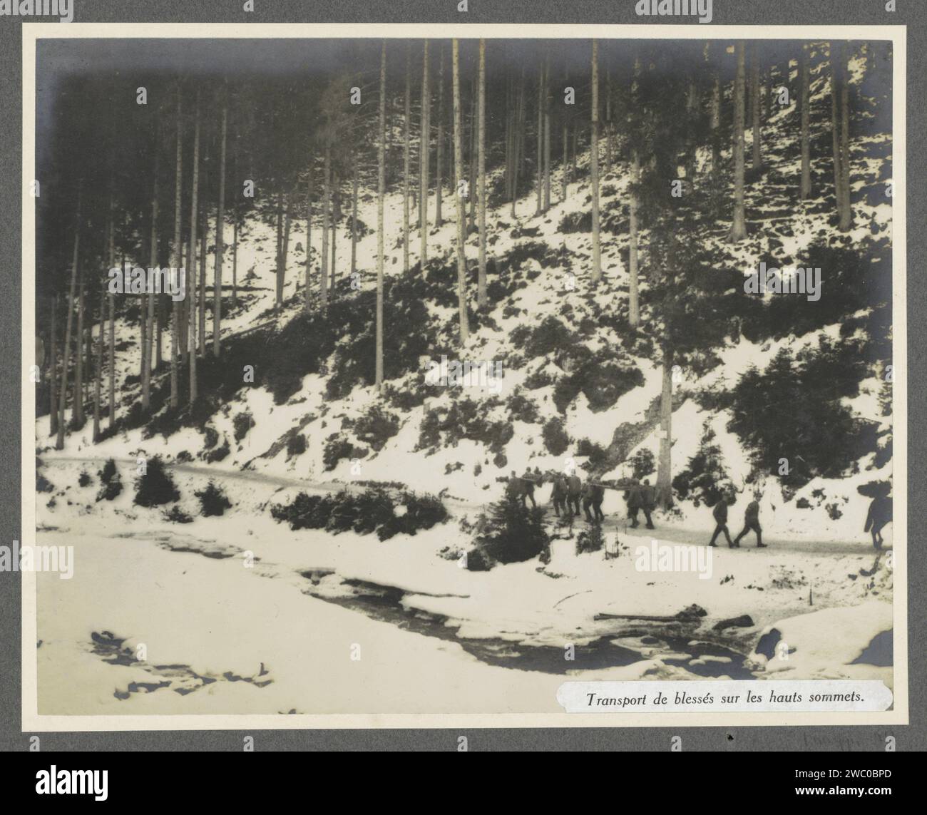 Winning transport per stretcher on the mountain slopes of the Dolomites ...
