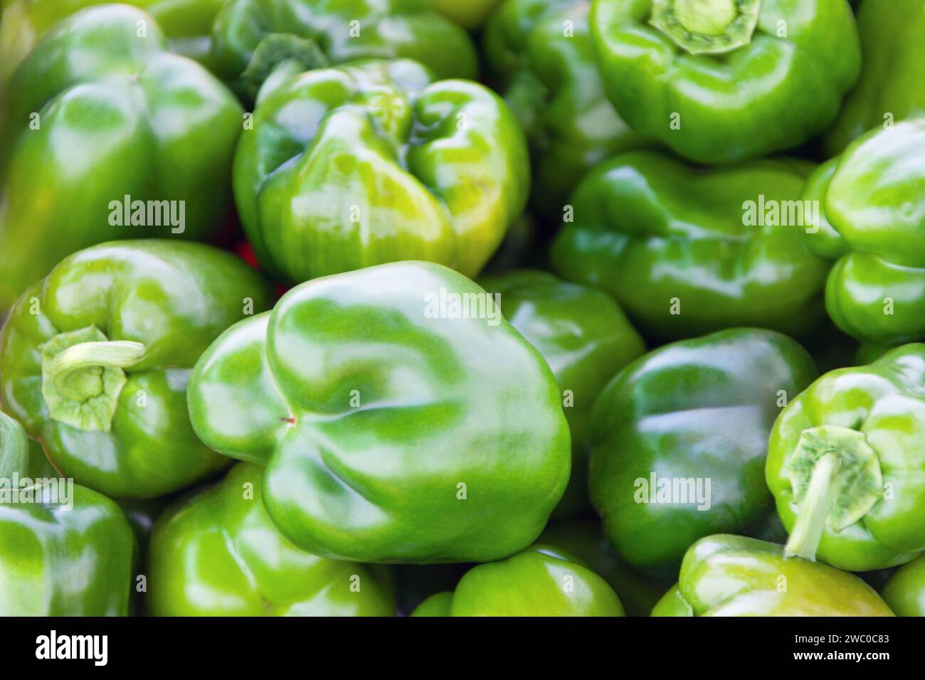 organic green peppers backdrop , background with green peppers in the ...