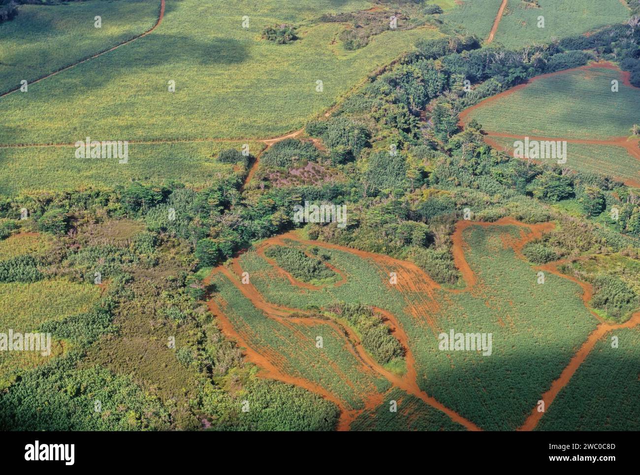 Kauaʻi Hawaiian: , anglicized as Kauai is geologically the second ...