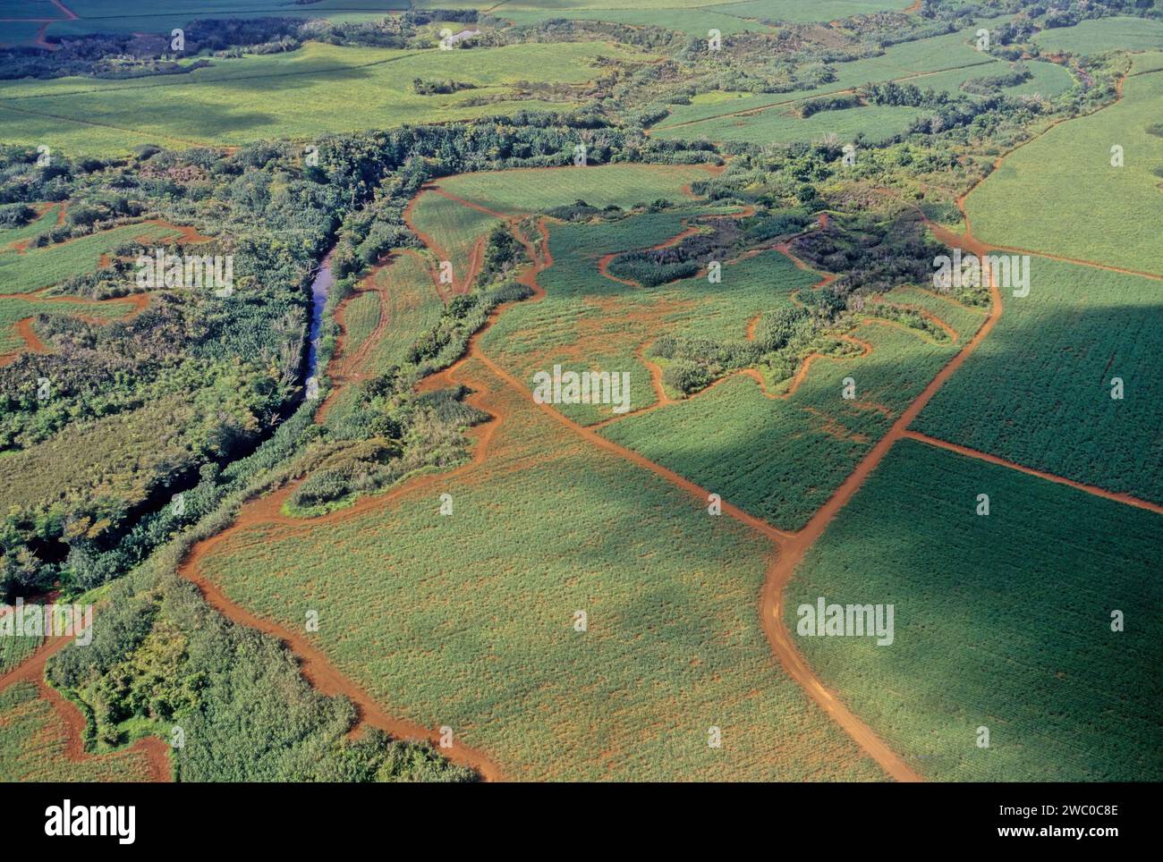 Kauaʻi Hawaiian: , anglicized as Kauai is geologically the second ...