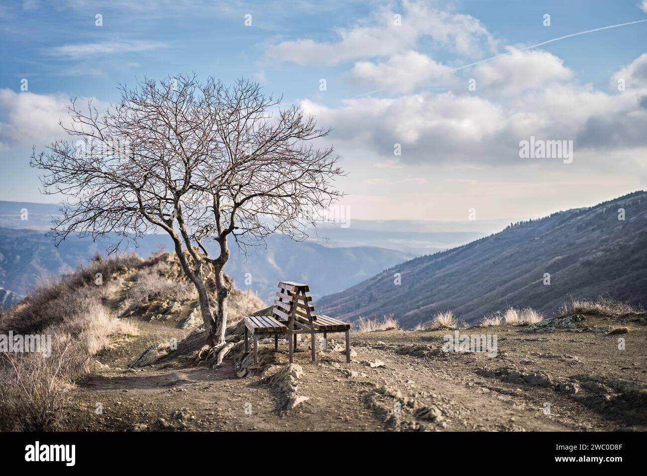 Place to rest, benches on a walking path under a lonely tree, view of ...