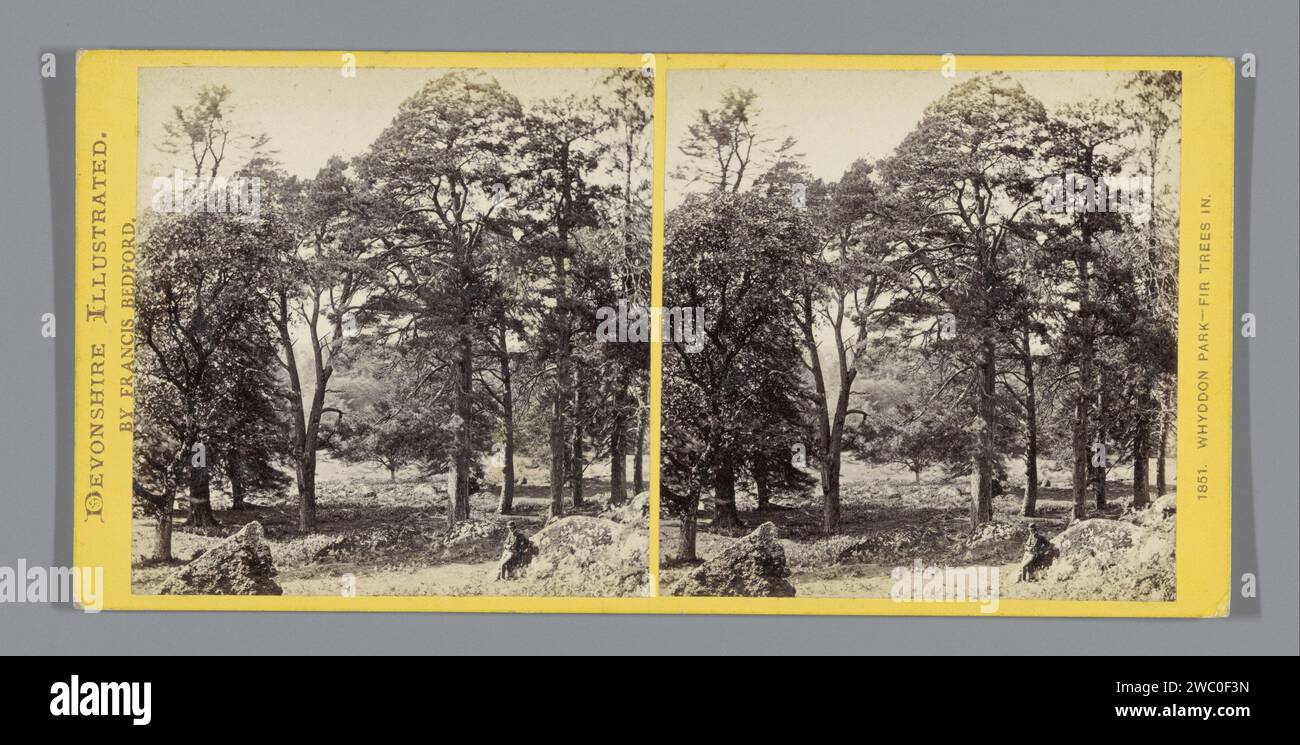 Sparren in Whiddon Park, Francis Bedford, c. 1850 - c. 1880 stereograph ...