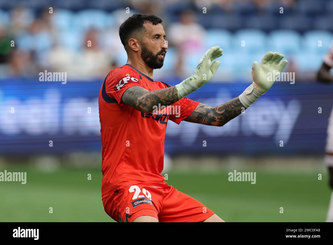 Paul izzo hi-res stock photography and images - Alamy