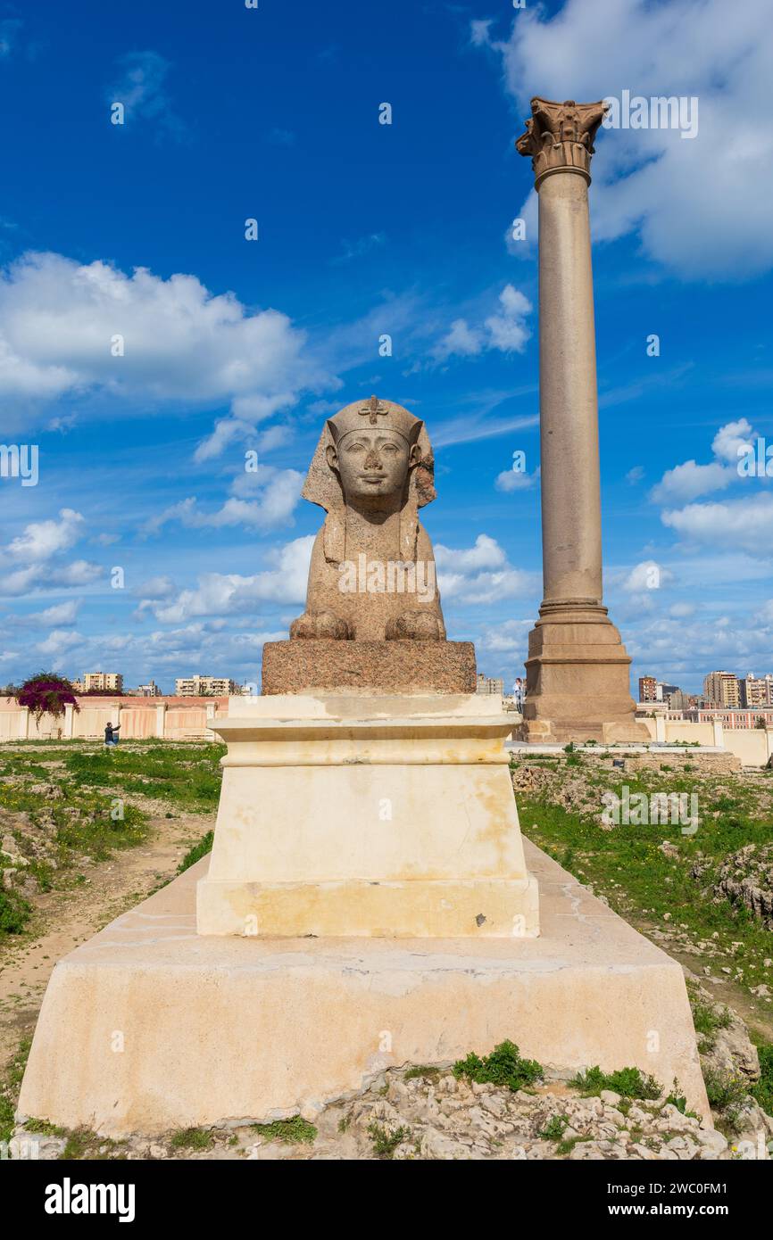 Sphinx and giant ancient Pompey's pillar on territory of Serapeum of ...