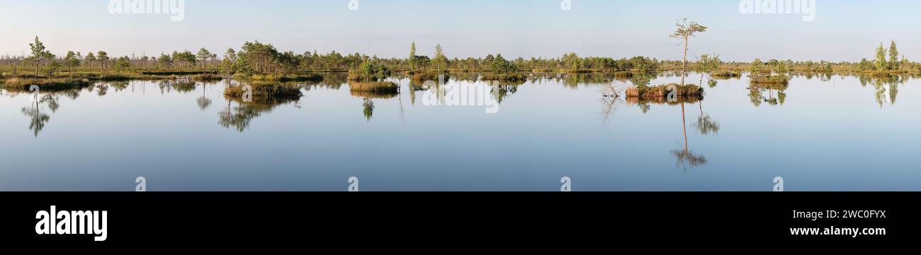 The huge sphagnum bog Yelnya in Belarus, a unique nature reserve Stock ...