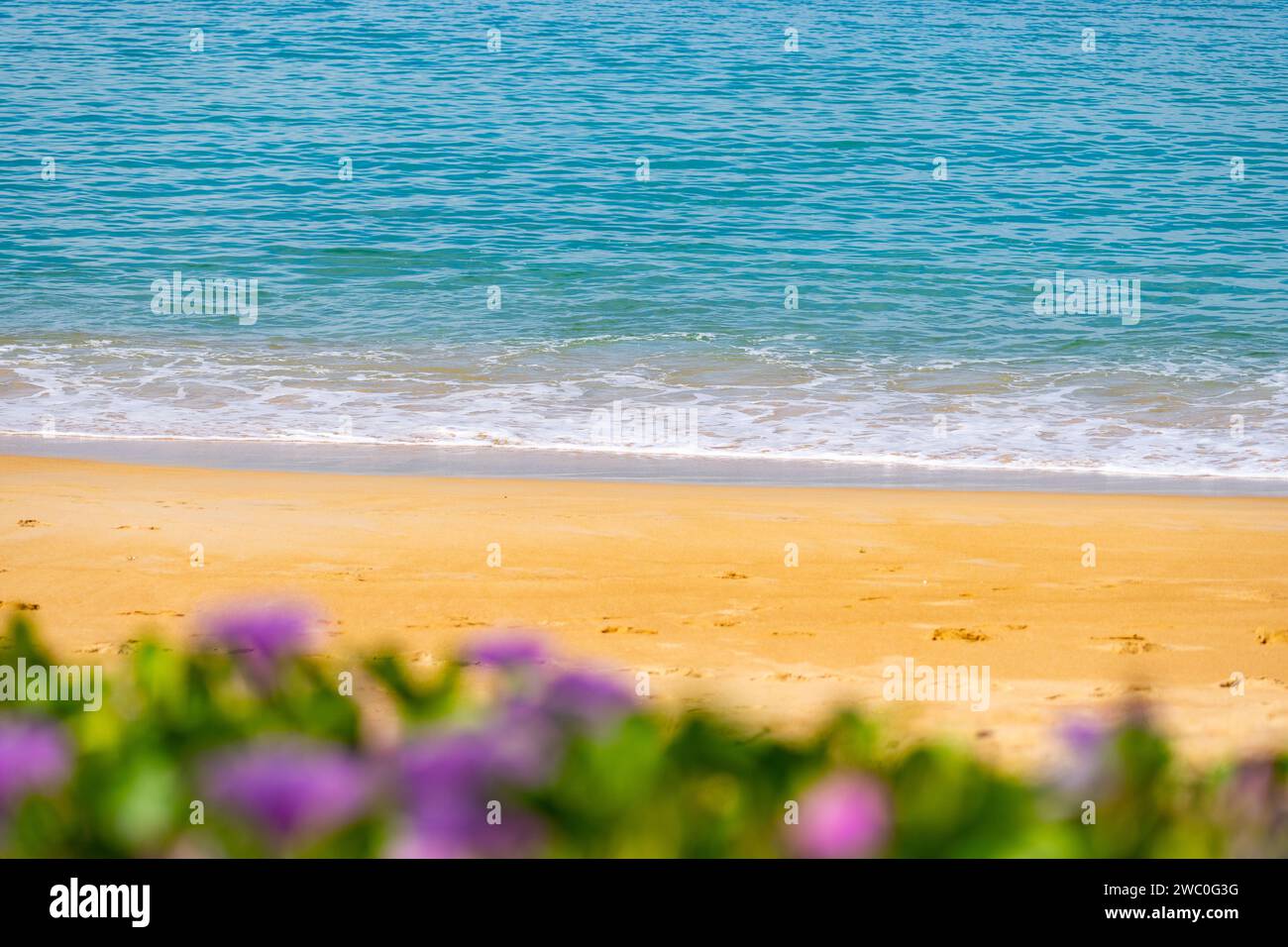 Beautiful sea beach background,Amazing sea ocean in good weather day ...