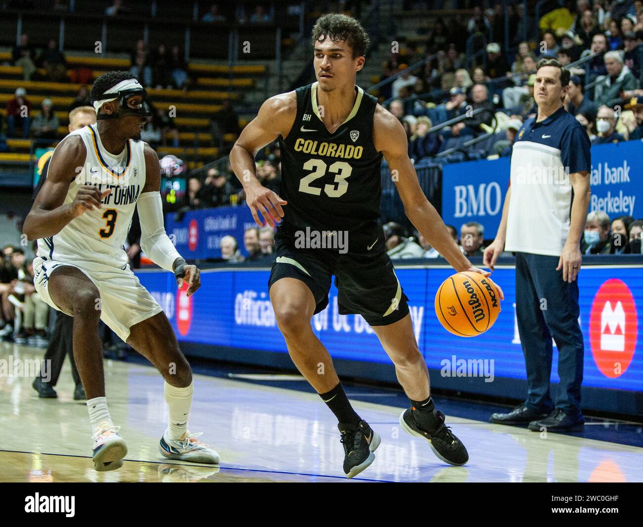 2024 0153 jpg hi-res stock photography and images - Alamy