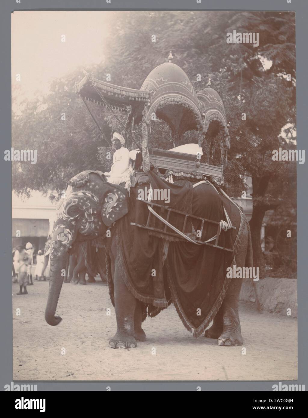 Royal transport by elephant in India, anonymous, 1890 - 1920 photograph ...