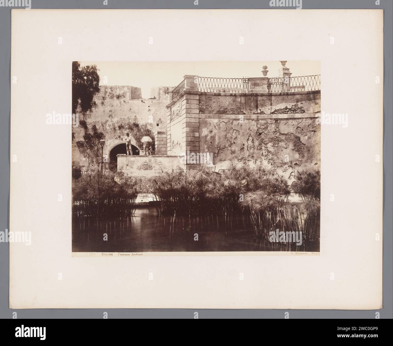 View of the fountain of Arethusa in Syracuse, Italy, Giorgio Sommer ...