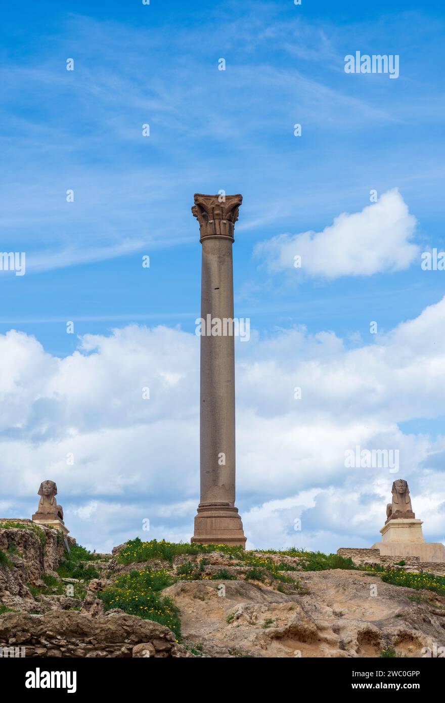 Two sphinxes and giant ancient Pompey's pillar on territory of Serapeum ...
