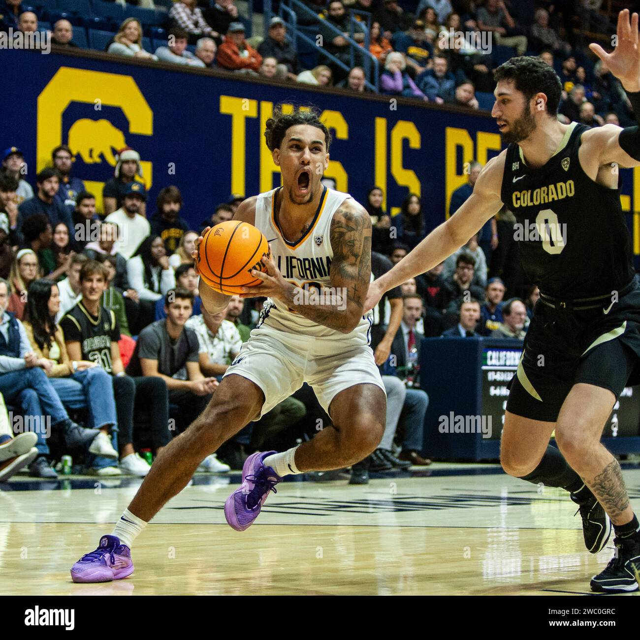 2024 0342 jpg hi-res stock photography and images - Alamy