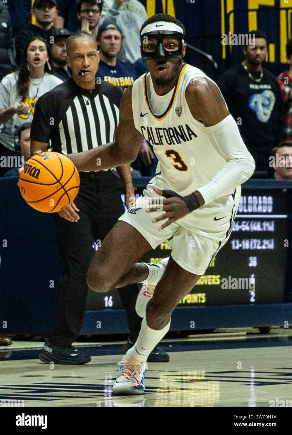 2024 0434 jpg hi-res stock photography and images - Alamy