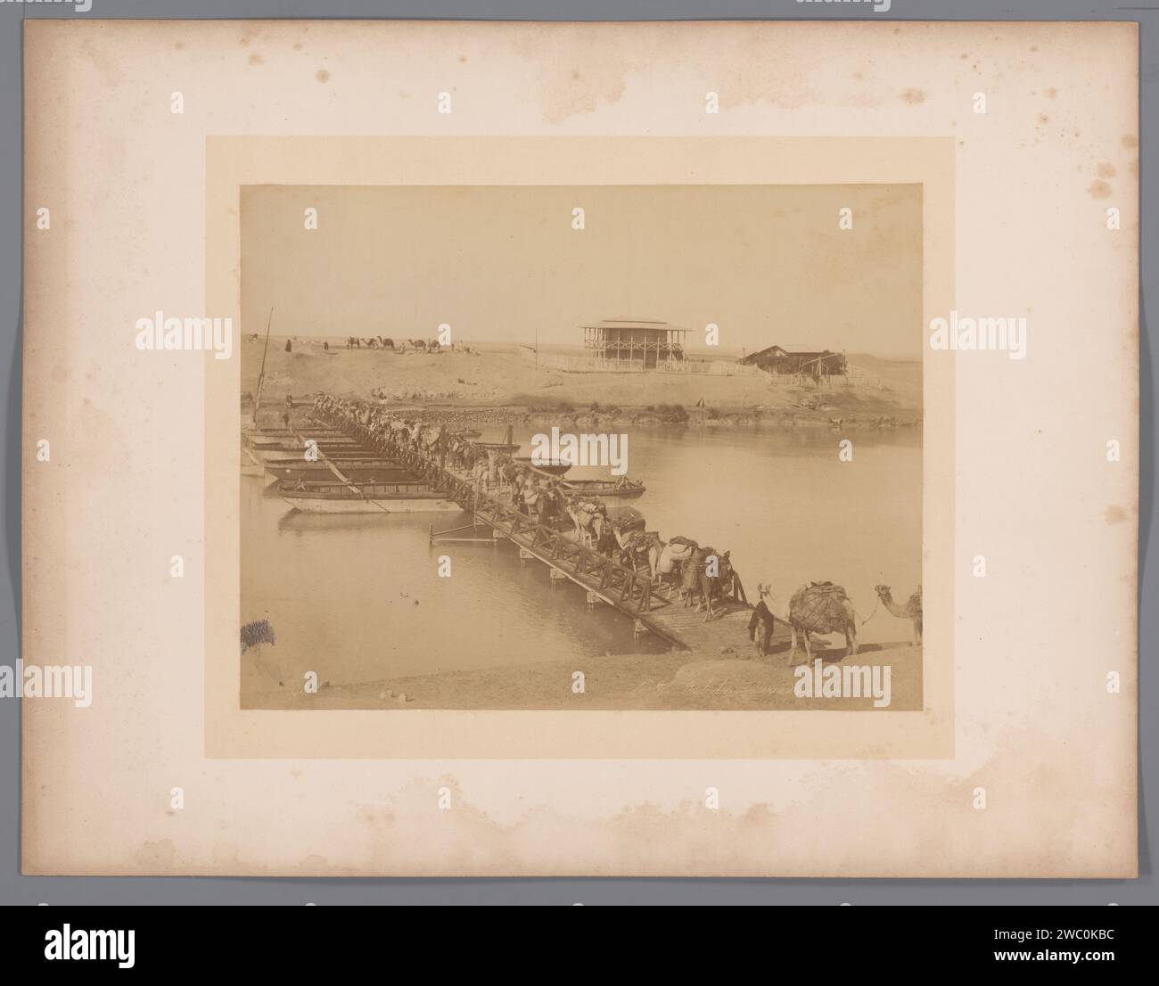 Caravan with camels or dromedaries on a pontoon bridge, C. & G. Zangaki ...