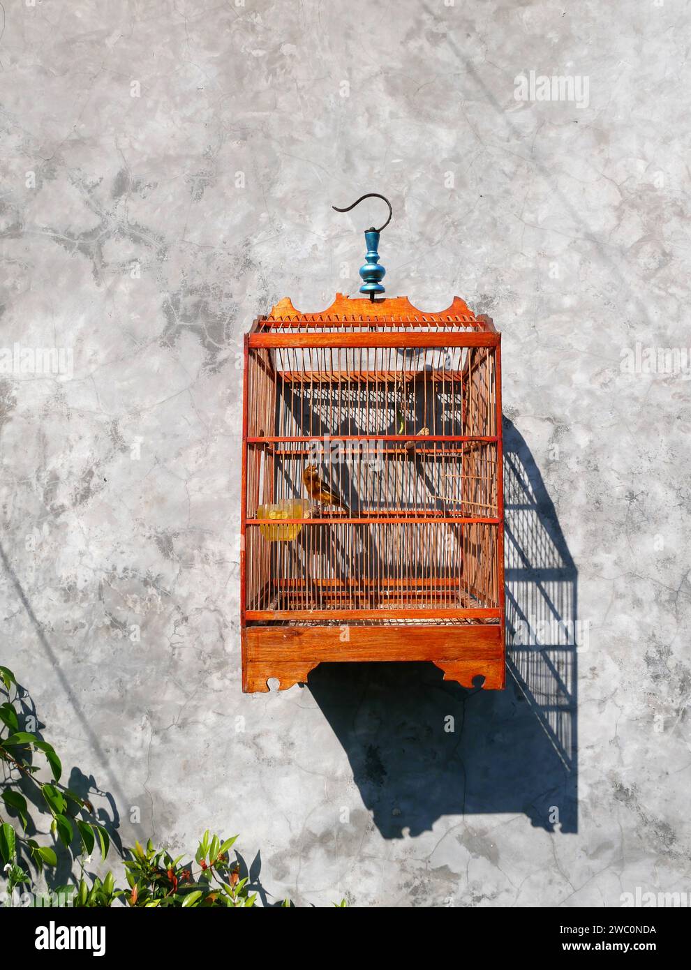 Hanging bird cage hi-res stock photography and images - Alamy