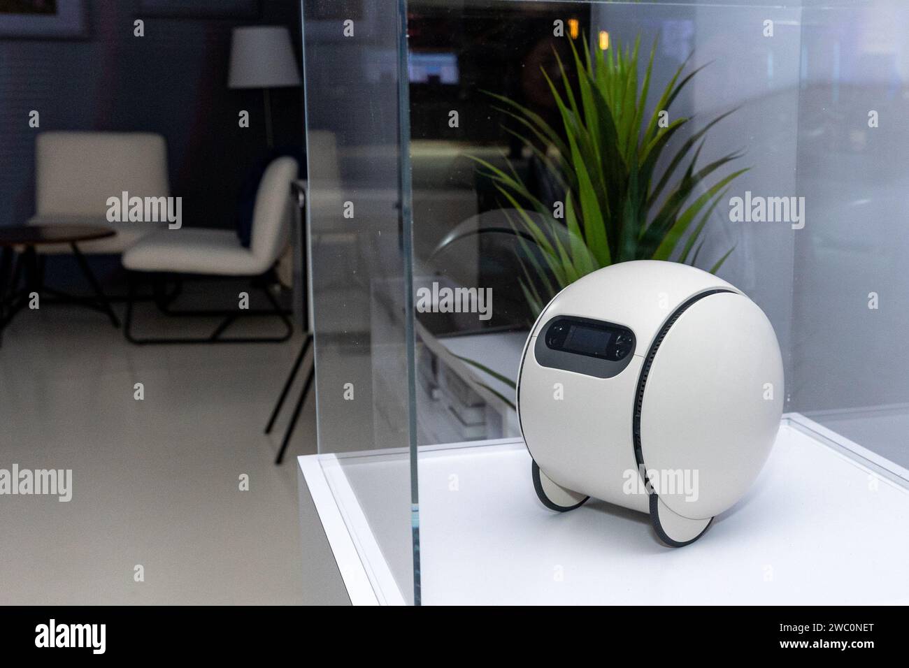 Las Vegas, USA. 12th Jan, 2024. Ballie, an AI companion robot for the home, is on display at the ...