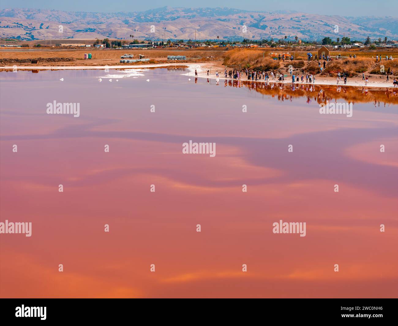 Pink salt ponds at Alviso Marina County Park Stock Photo - Alamy