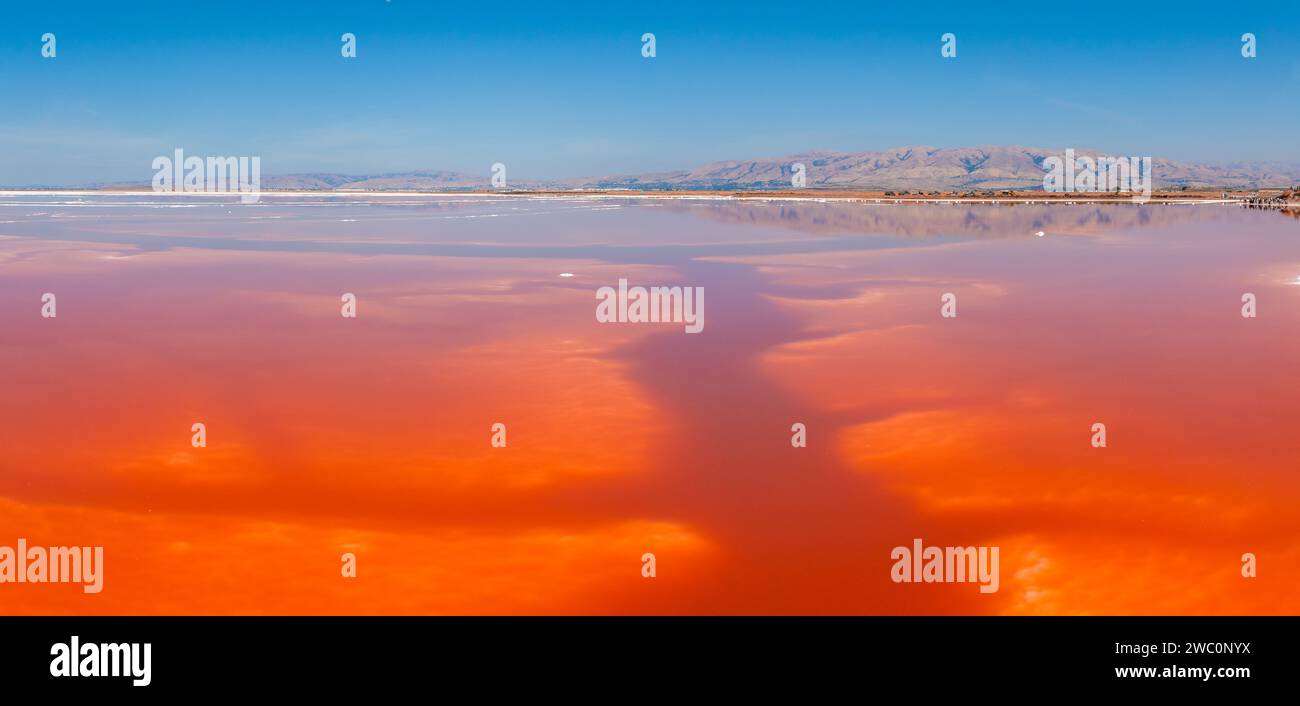Pink salt ponds at Alviso Marina County Park Stock Photo - Alamy