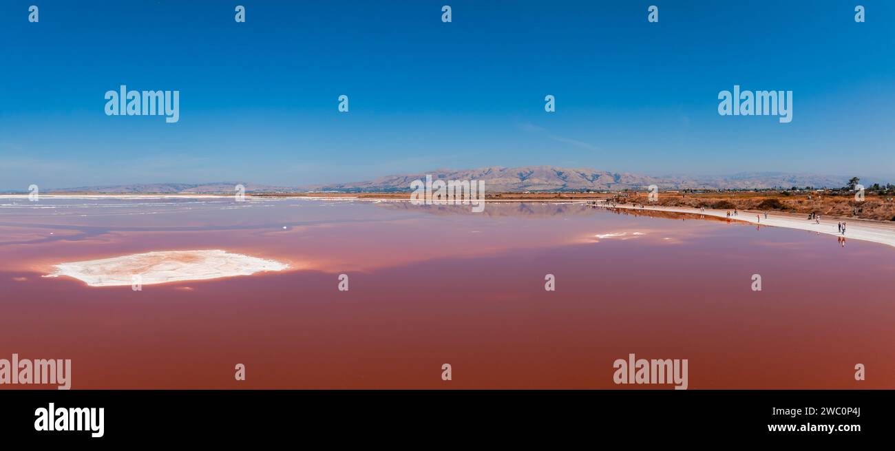 Red salt water bacteria hi-res stock photography and images - Alamy