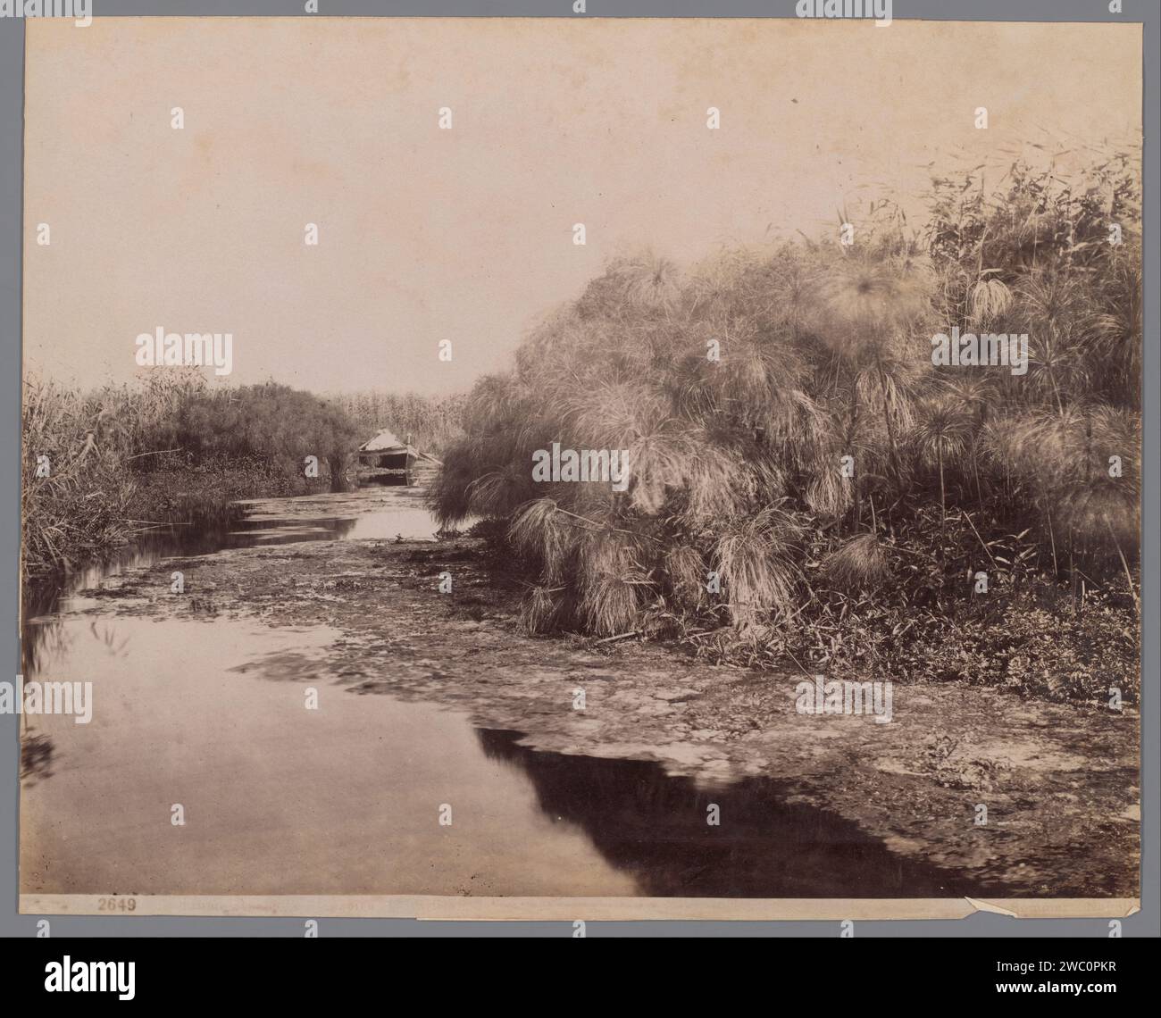 1914 rowing photo hi-res stock photography and images - Alamy