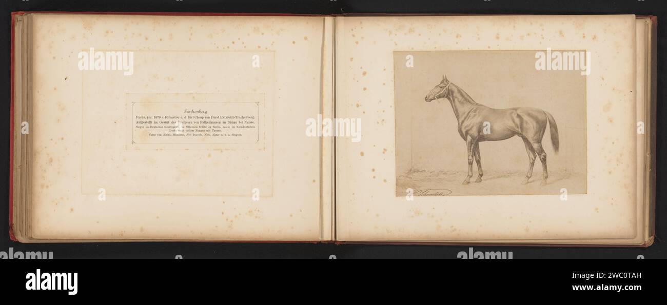 Photo production of a drawing of a horse, called Trachenberg, by H ...