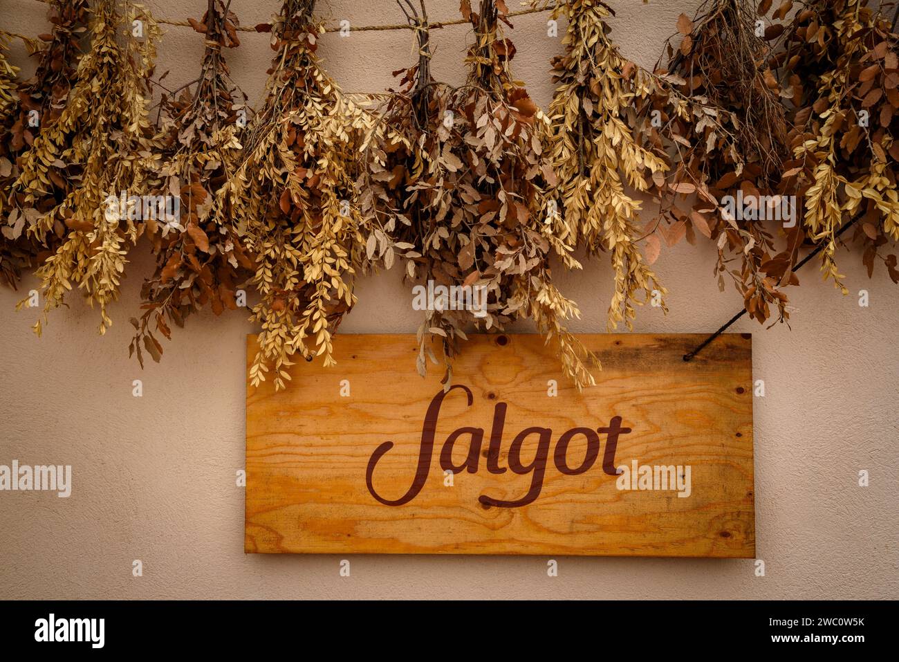 Visit to the Salgot Ecofarm, where pigs are raised following ecological ...