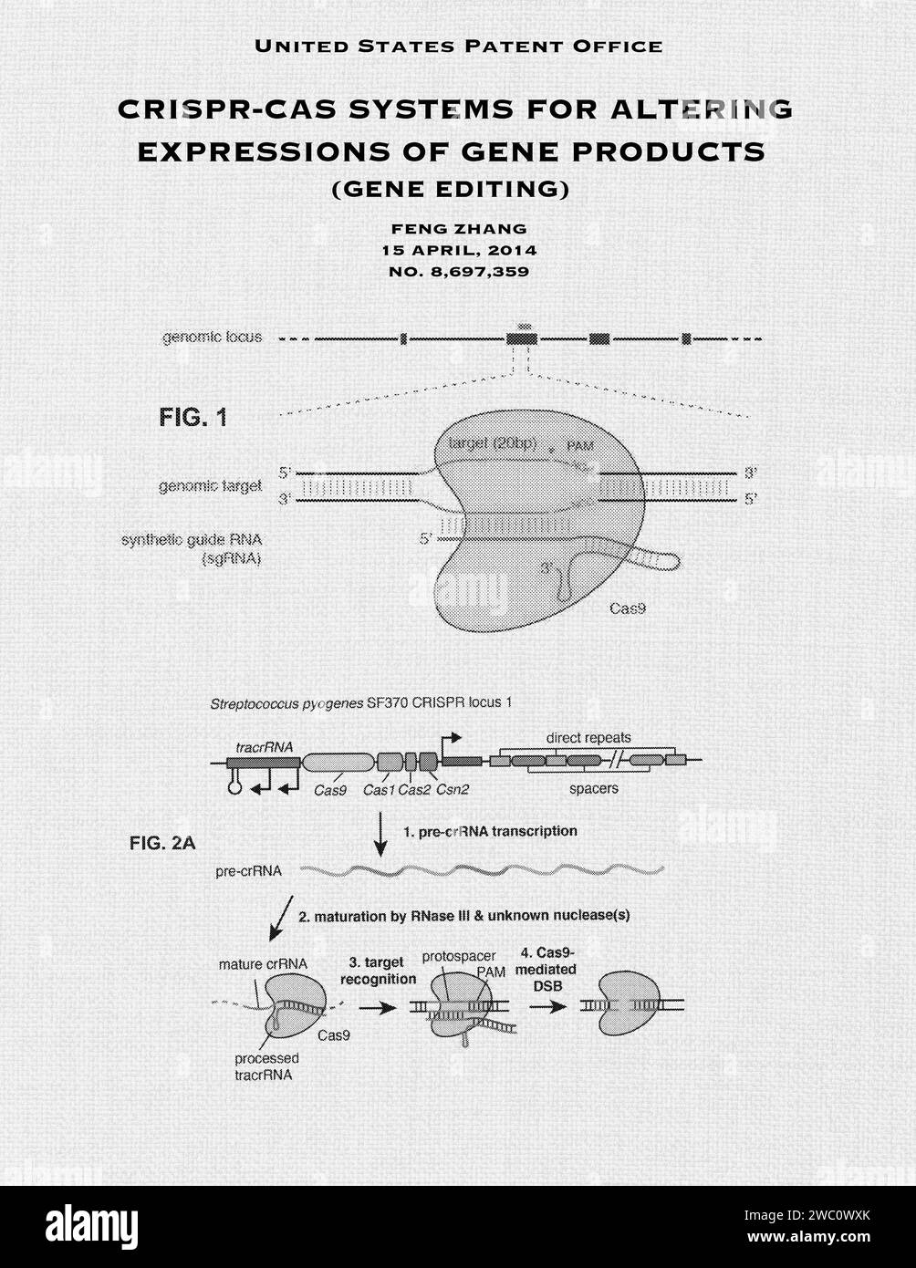 Crispr gene editing illustration Black and White Stock Photos & Images ...