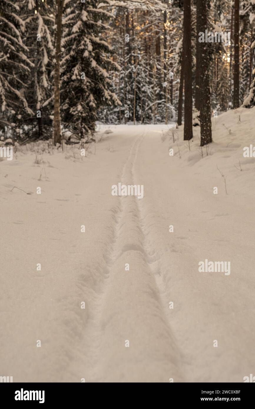 Frozen wood bits hi-res stock photography and images - Alamy