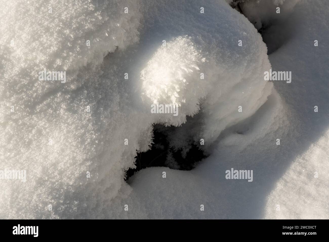 Frozen wood bits hi-res stock photography and images - Alamy