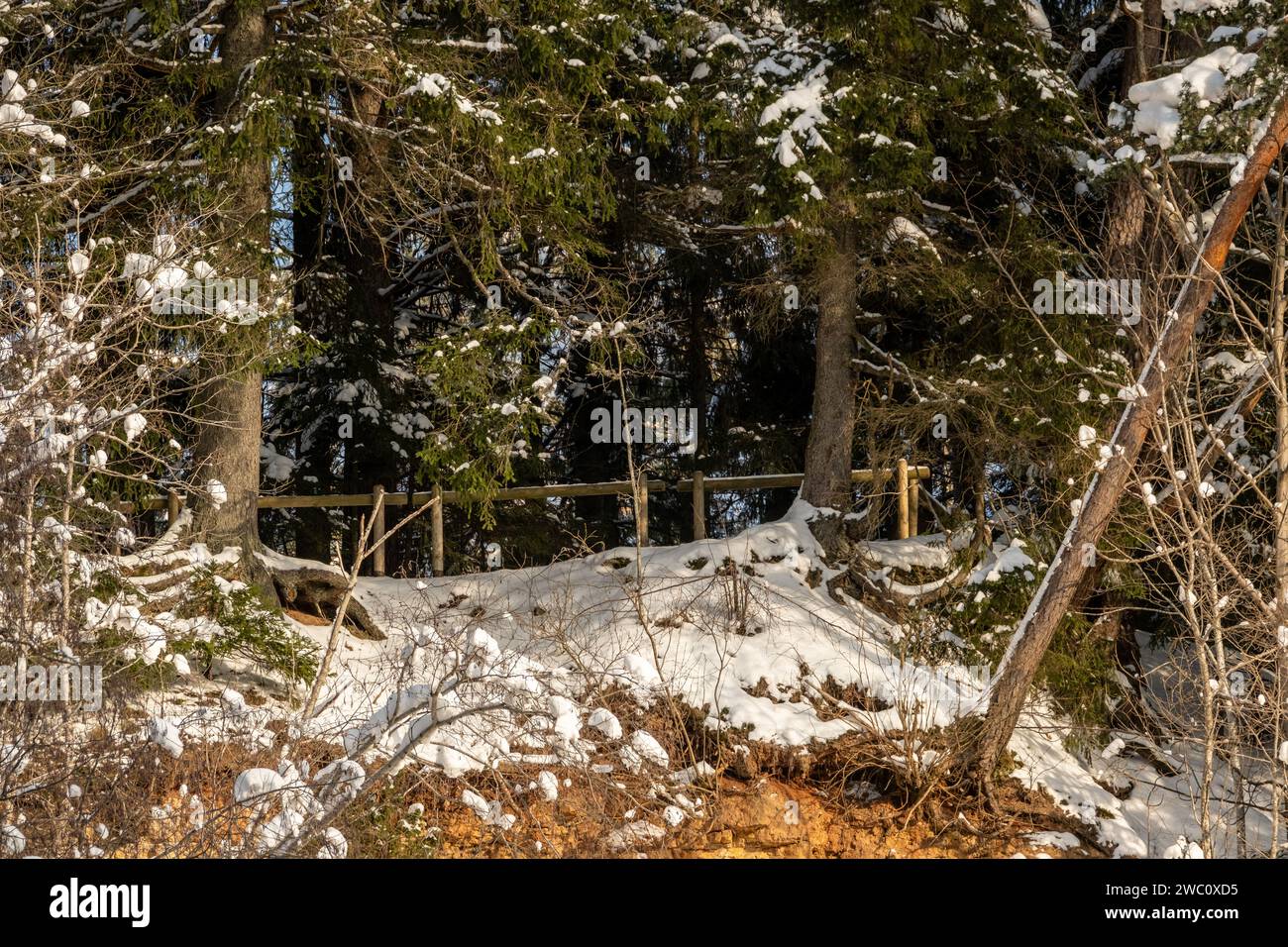 Frozen wood bits hi-res stock photography and images - Alamy
