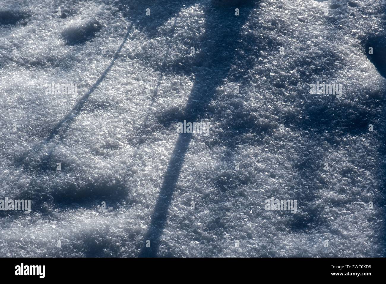 abstract bits of nature in winter snow with frozen grass and branches ...