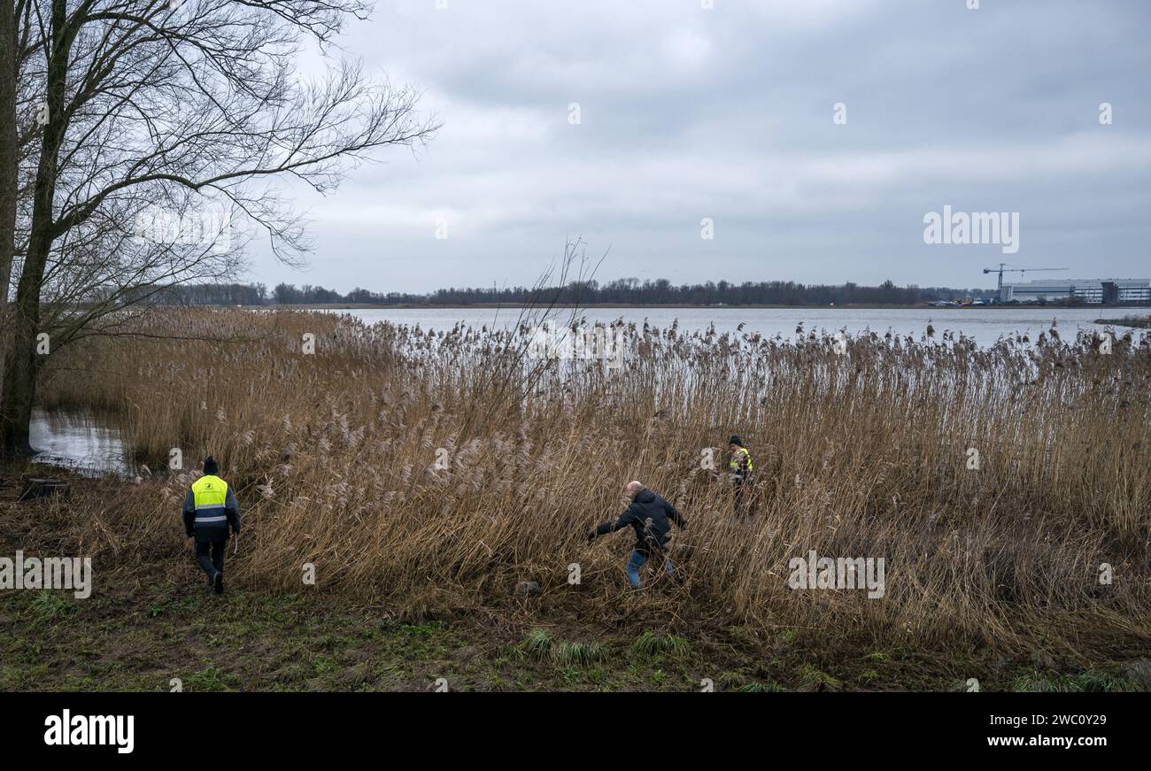 16 krol hi-res stock photography and images - Alamy