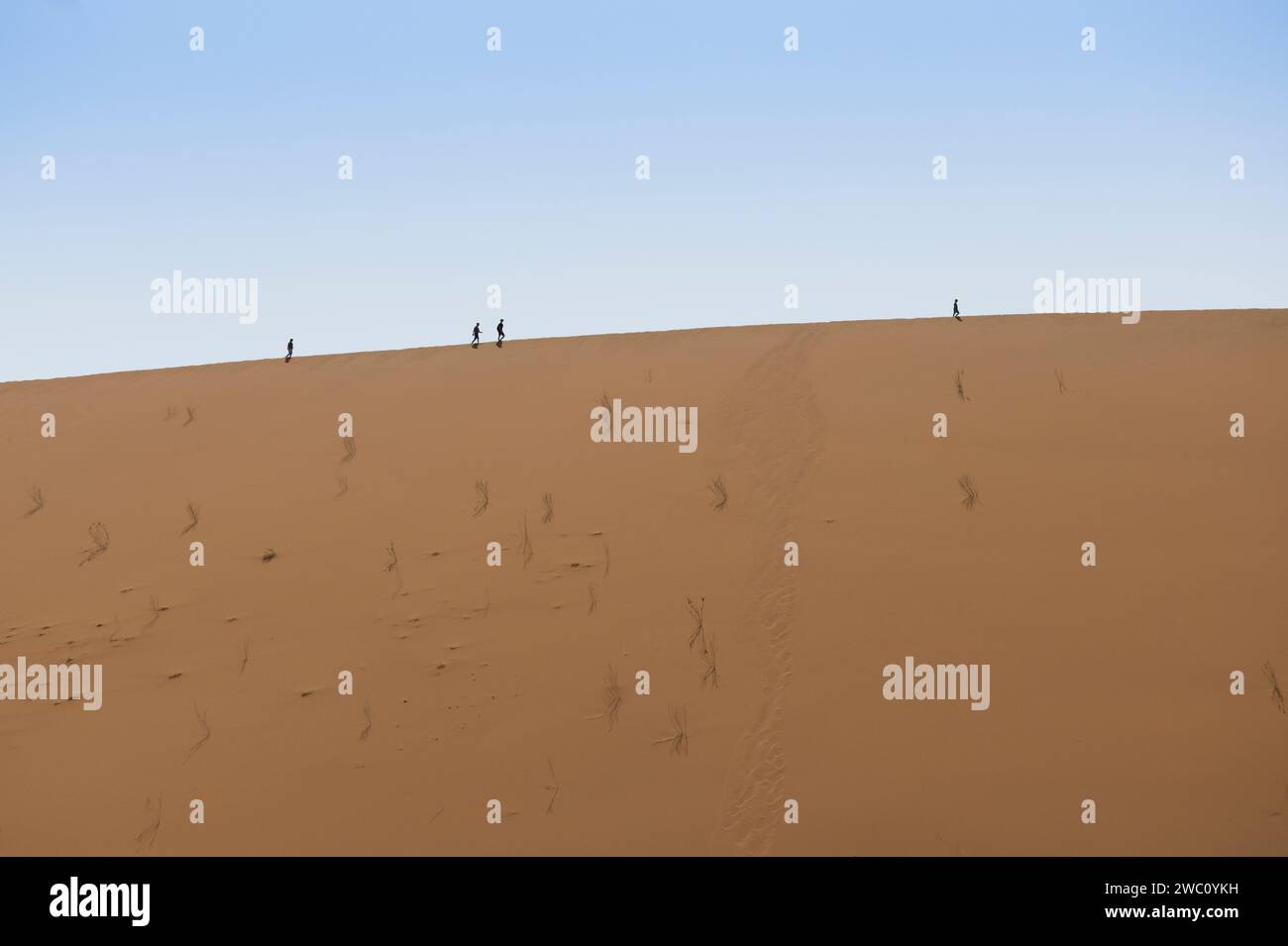 Tourists make their way along the ridge lines of the huge sand dunes at ...