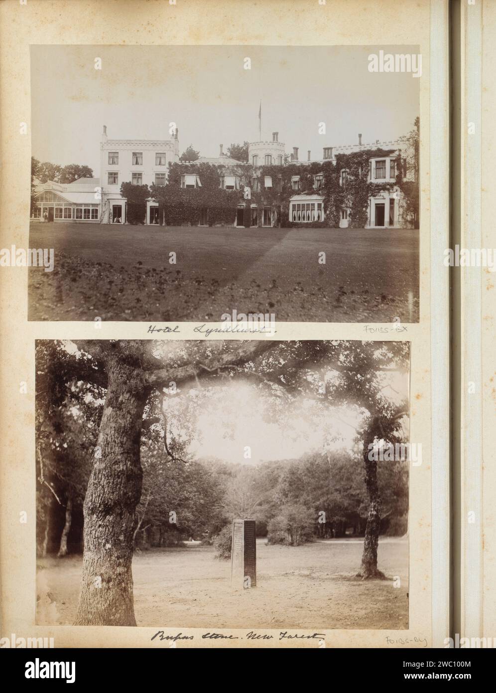 Rufus Stone in het New Forest, 1899 photograph Part of Reisalbum with ...