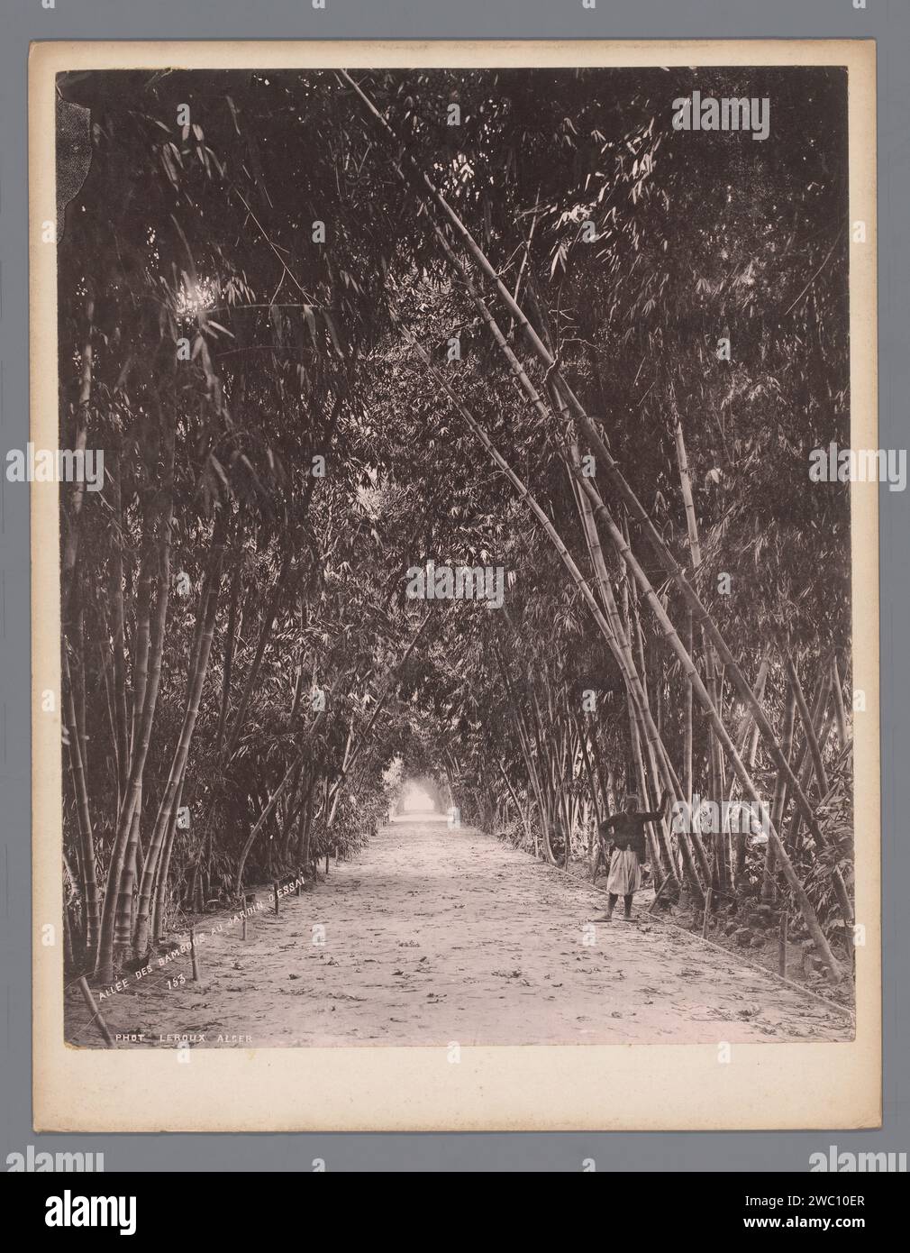 Jardin dessai du hamma hi-res stock photography and images - Alamy