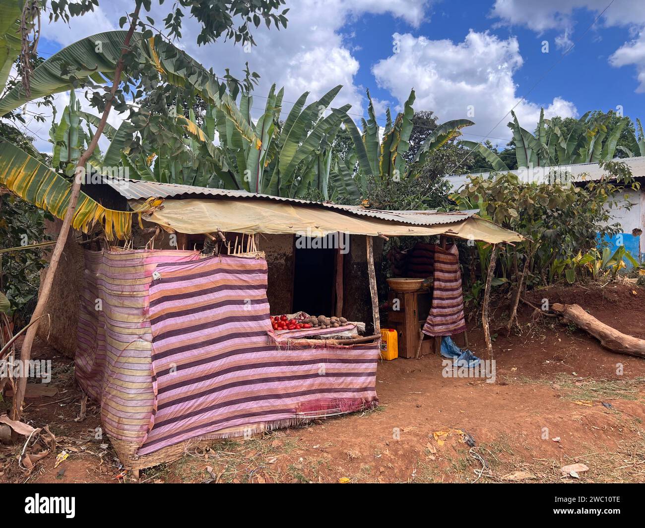 Small grocery shop made of corrugated iron sheets, bamboo, and plastic ...
