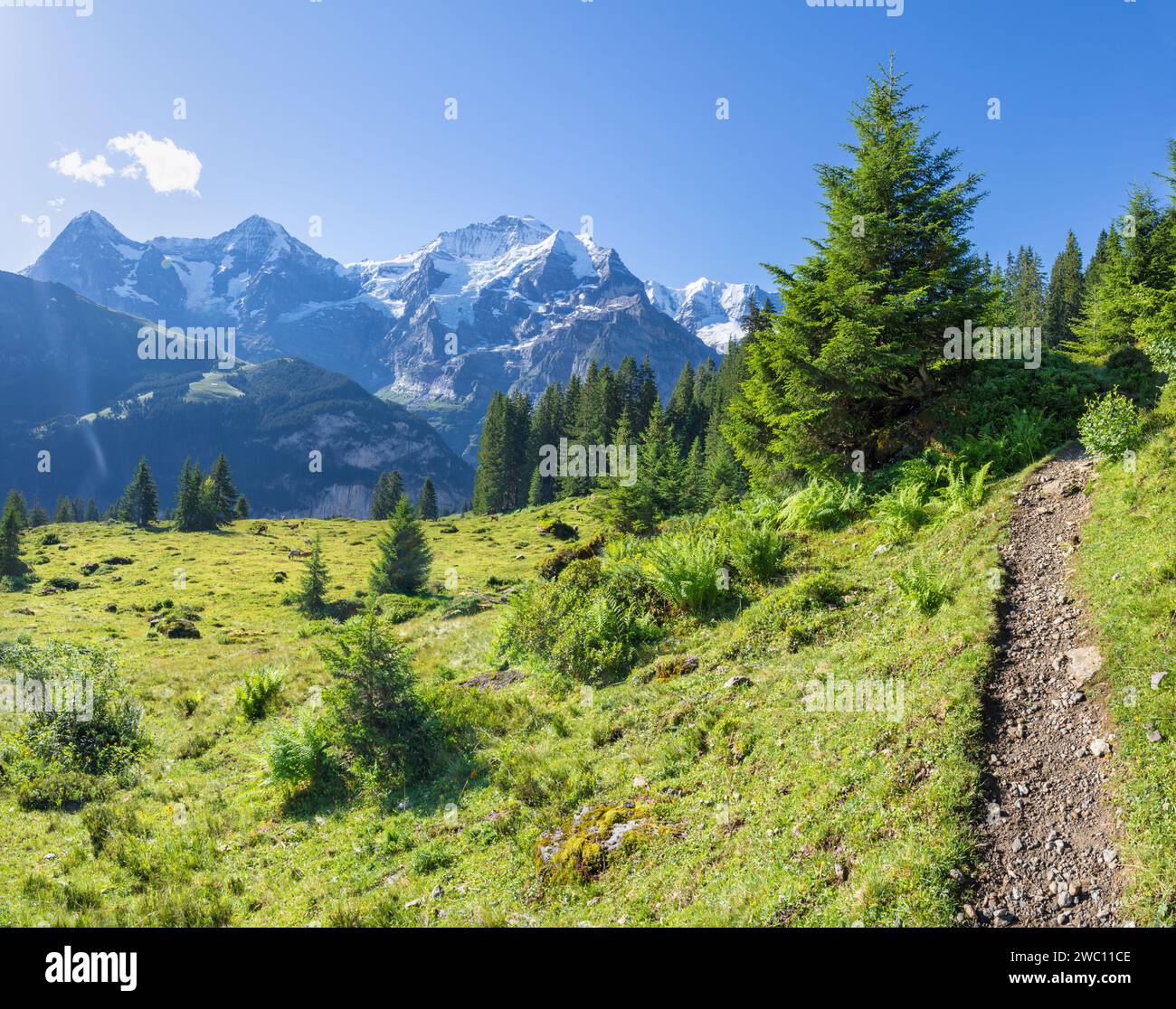 The panorma of Bernese alps with the Jungfrau, Monch and Eiger peaks ...
